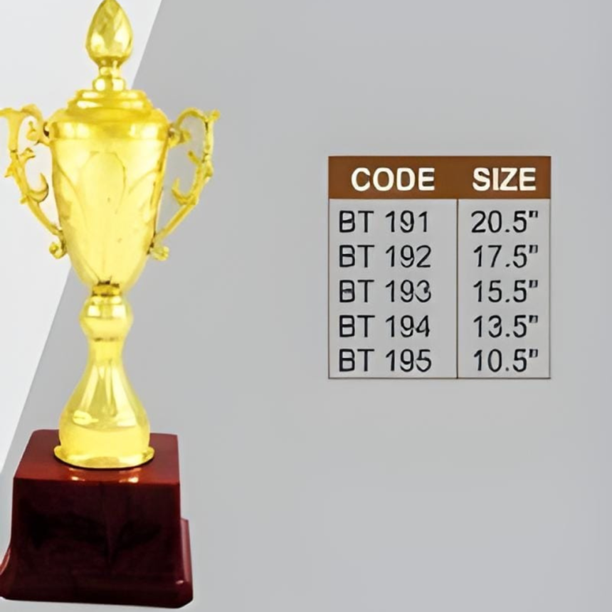 Winner Awards And Trophies – "Elevate Your Success with Our Trophies"